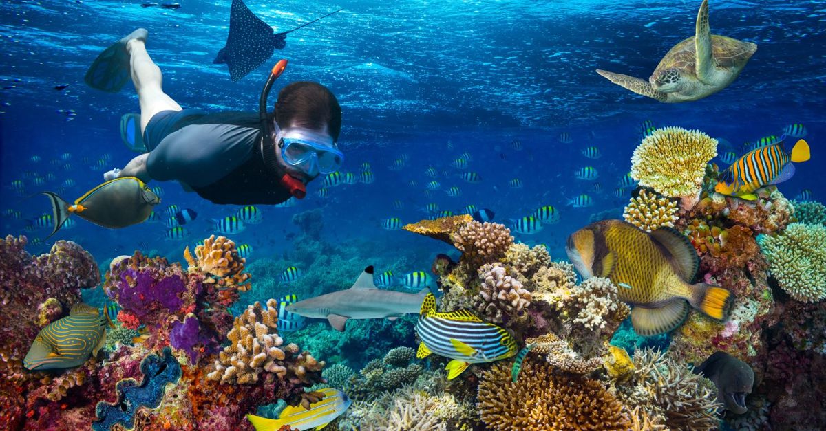 10 Exciting All-Inclusive Destinations - The Getaway