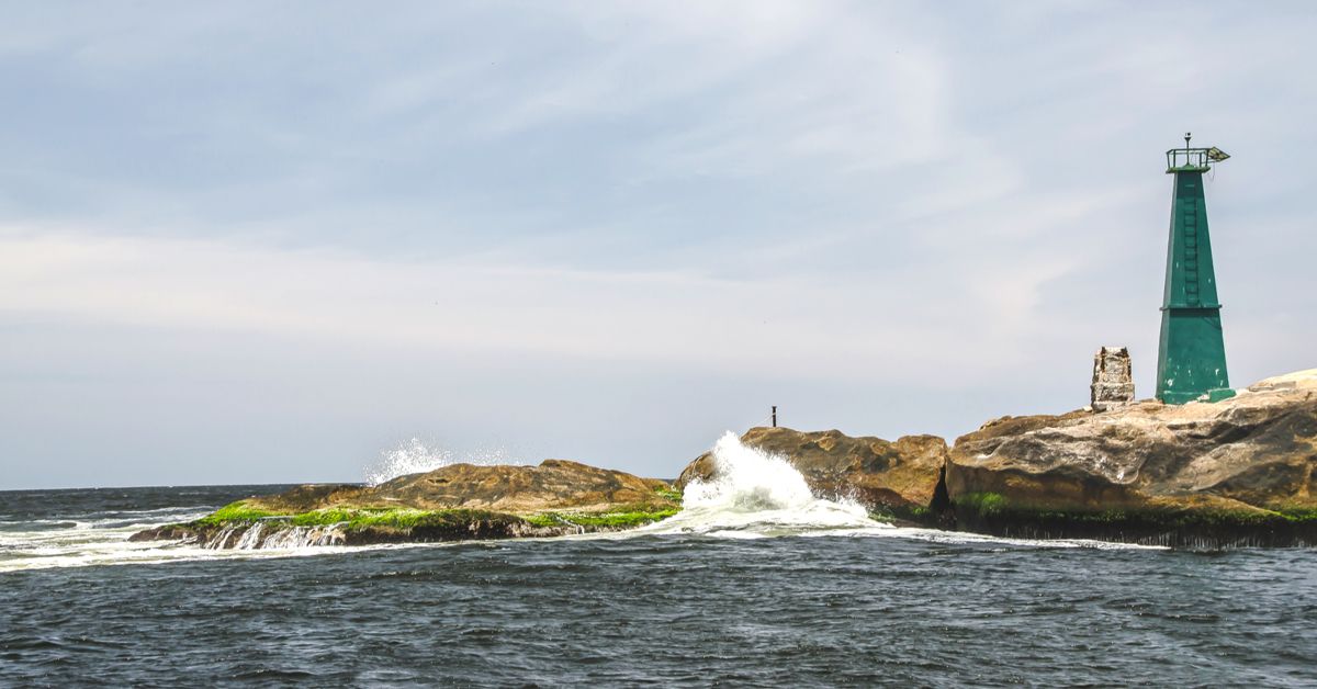 Snake Island: The Most Dangerous Island You Can't Visit - The Getaway