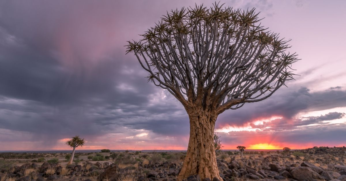 Exploring the Natural Beauty That is Namibia - The Getaway