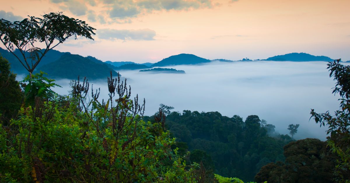 Find Adventure in Rwanda - The Getaway