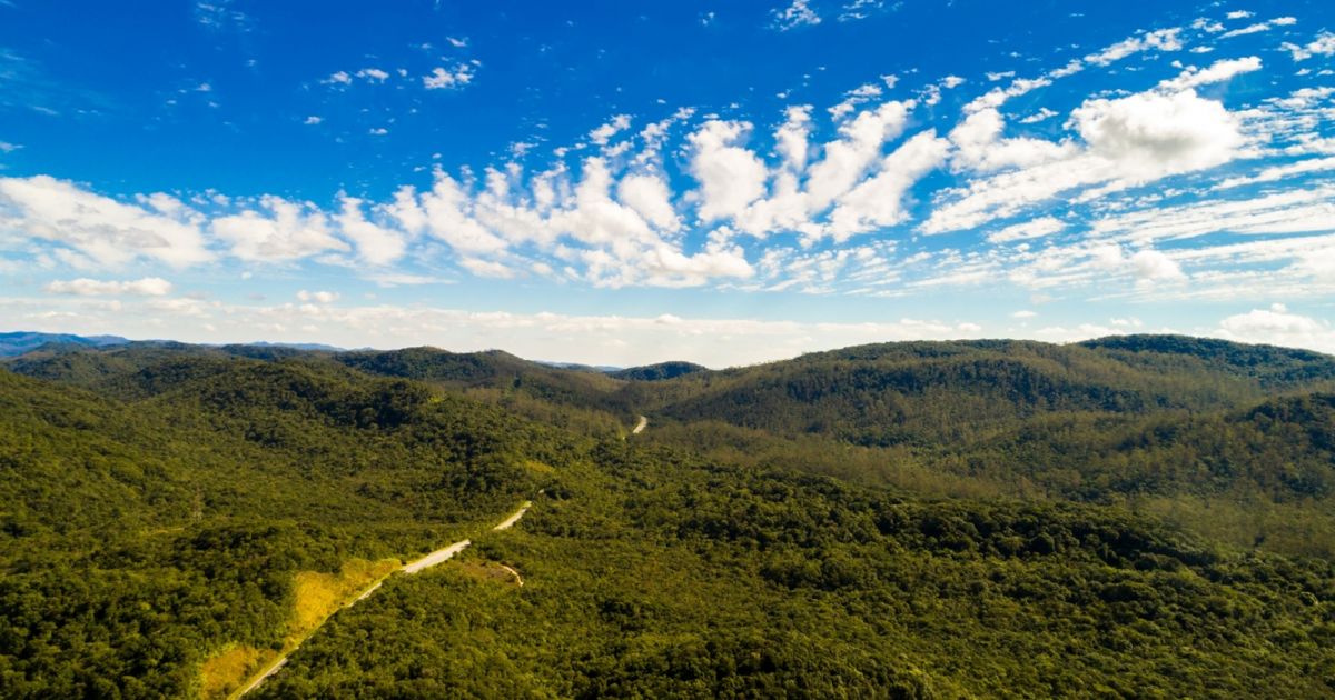 Gabon: A Lesser-Known Paradise - The Getaway