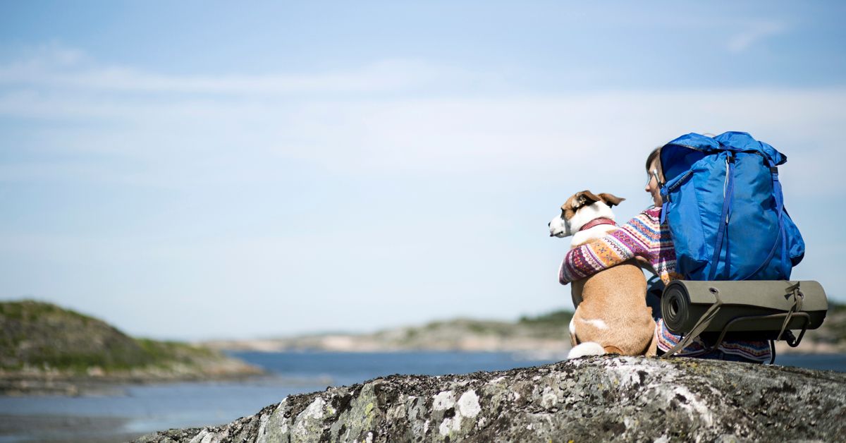 Tips for Your Next Vacation With Your Dog - The Getaway
