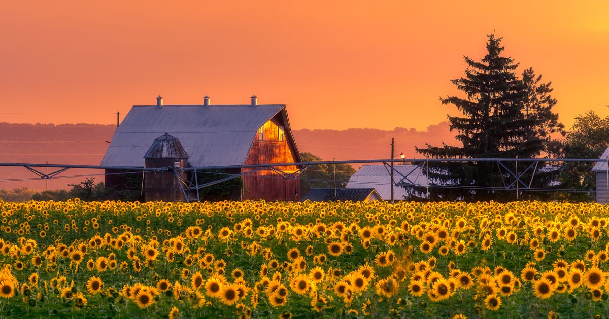 Madison is a Destination You Didn't Know You Needed - The Getaway