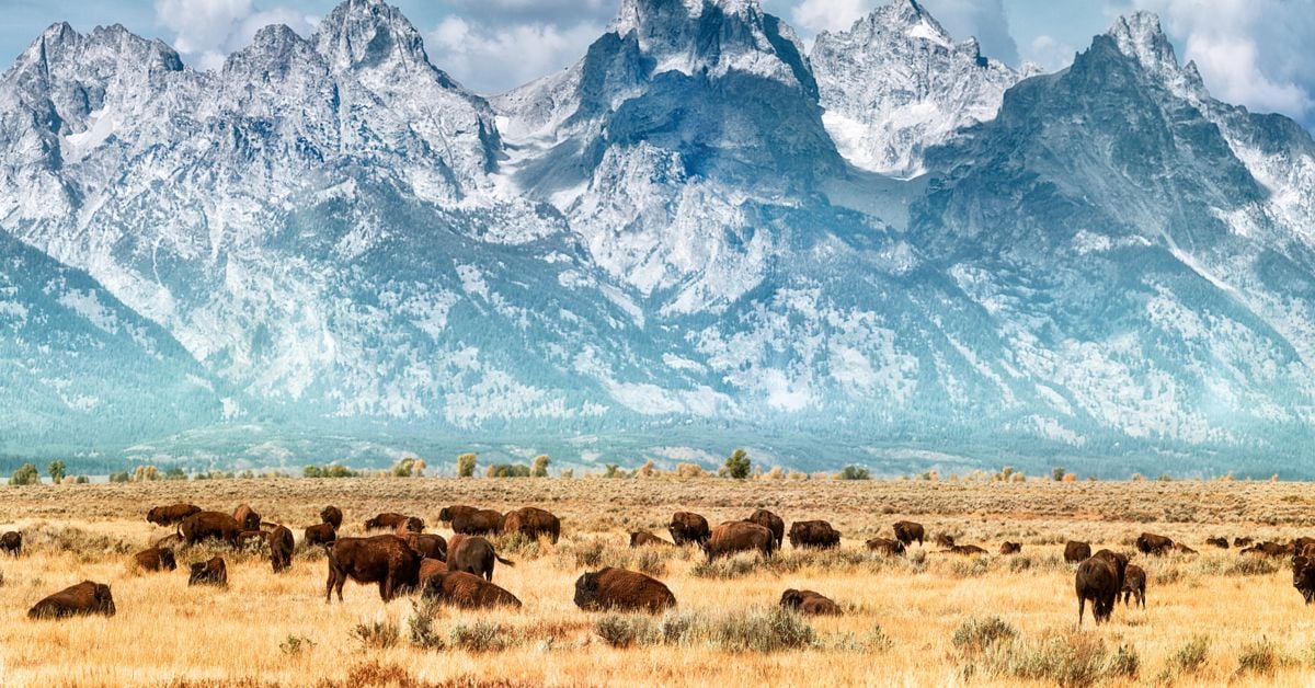 Get a Taste of the Wild West in Cheyenne - The Getaway