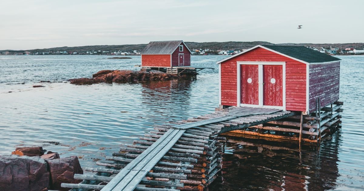 Exploring The Rock: Top Activities in Newfoundland - The Getaway