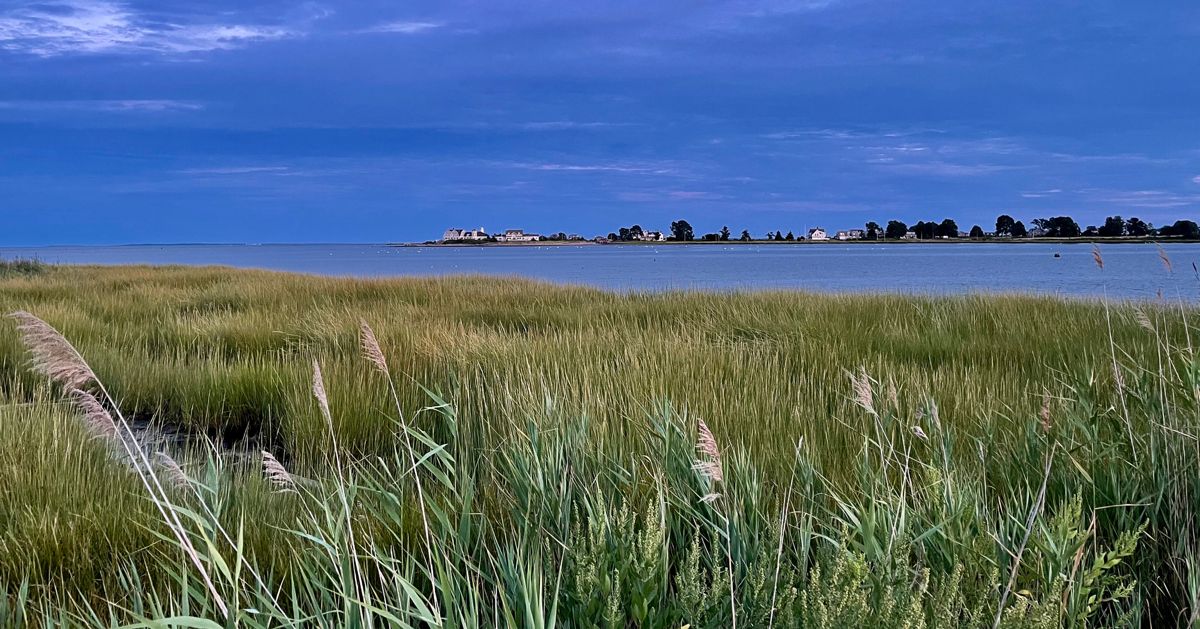 15 Awesome Things to Do in Old Saybrook - The Getaway