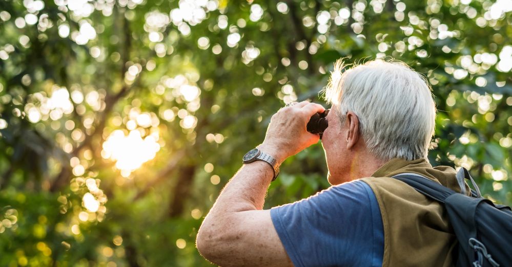 10 Best Spots for Birding in Halifax and Tips to Make the Most of Your ...