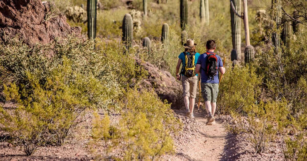 Best Hikes in the Tucson, Arizona Area - The Getaway