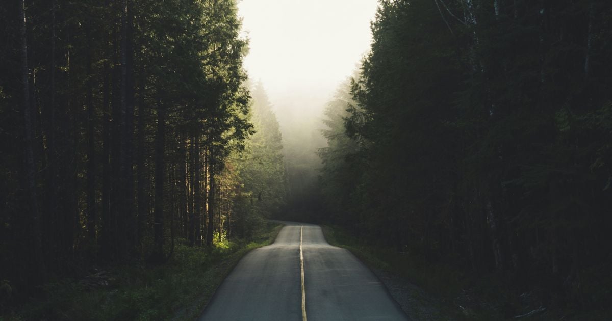 The 30 Best Things to Do on Vancouver Island - The Getaway