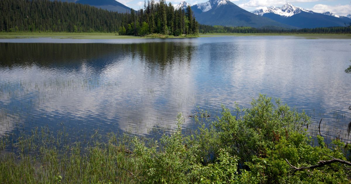 Bucket List Travel: The Bowron Lake Canoe Circuit - The Getaway