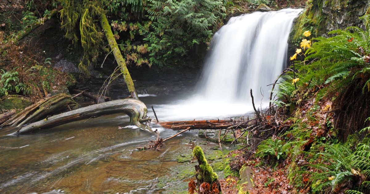 15 Thing to Do in Ladysmith and Chemainus - The Getaway