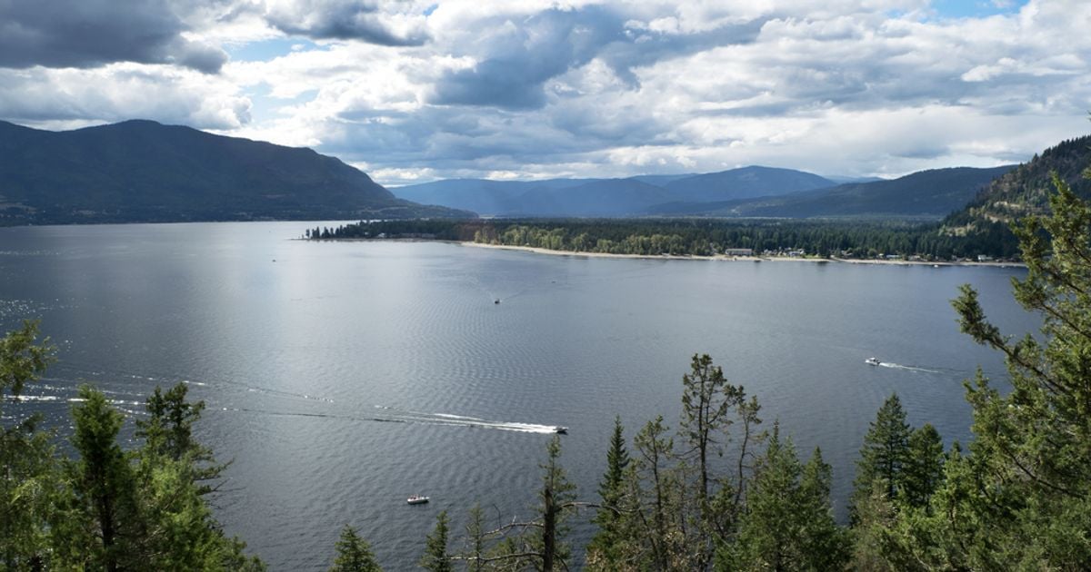 15 Things to Do in Salmon Arm and the Shuswap - The Getaway
