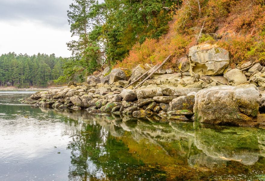 Vancouver Island - The Getaway