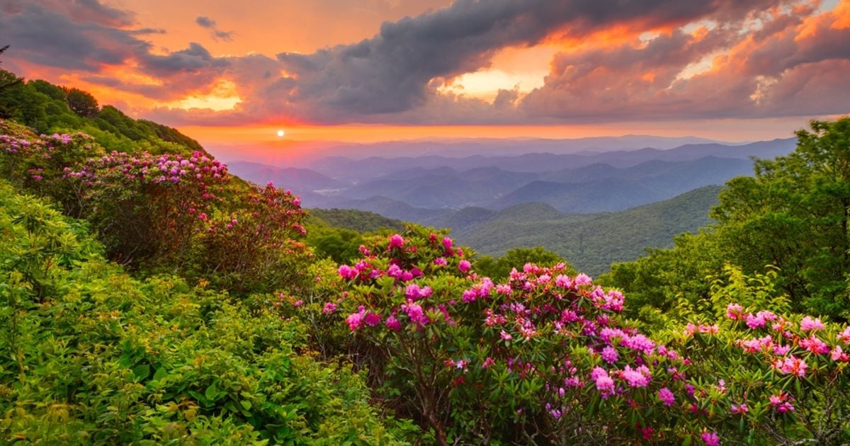 The Ultimate Guide on Planning a Trip to the Blue Ridge Mountains - The ...