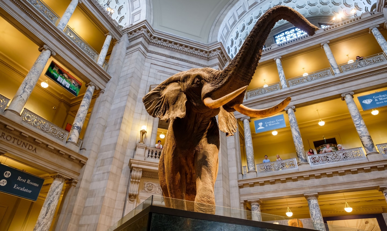 Visiting The Smithsonian Museum Complex In D C The Getaway